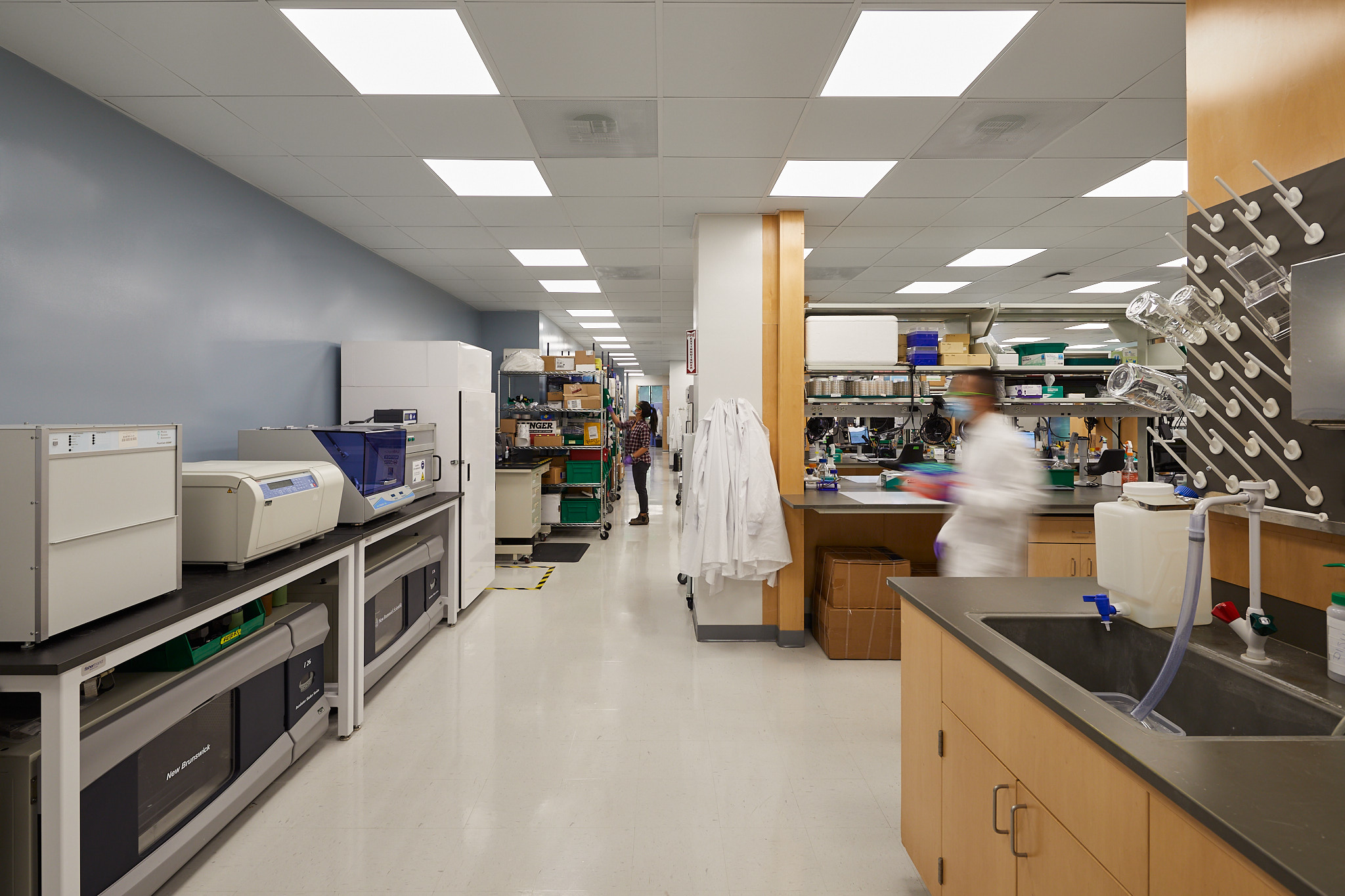 GreenLight Biosciences - RTP Lab | Office Fitup - O'Brien Atkins ...